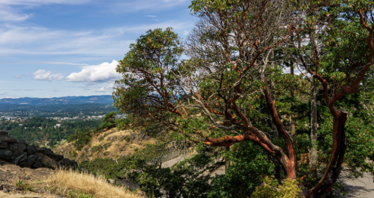 Gordon Head, Victoria, BC – Victoria Real Estate and Homes For Sale